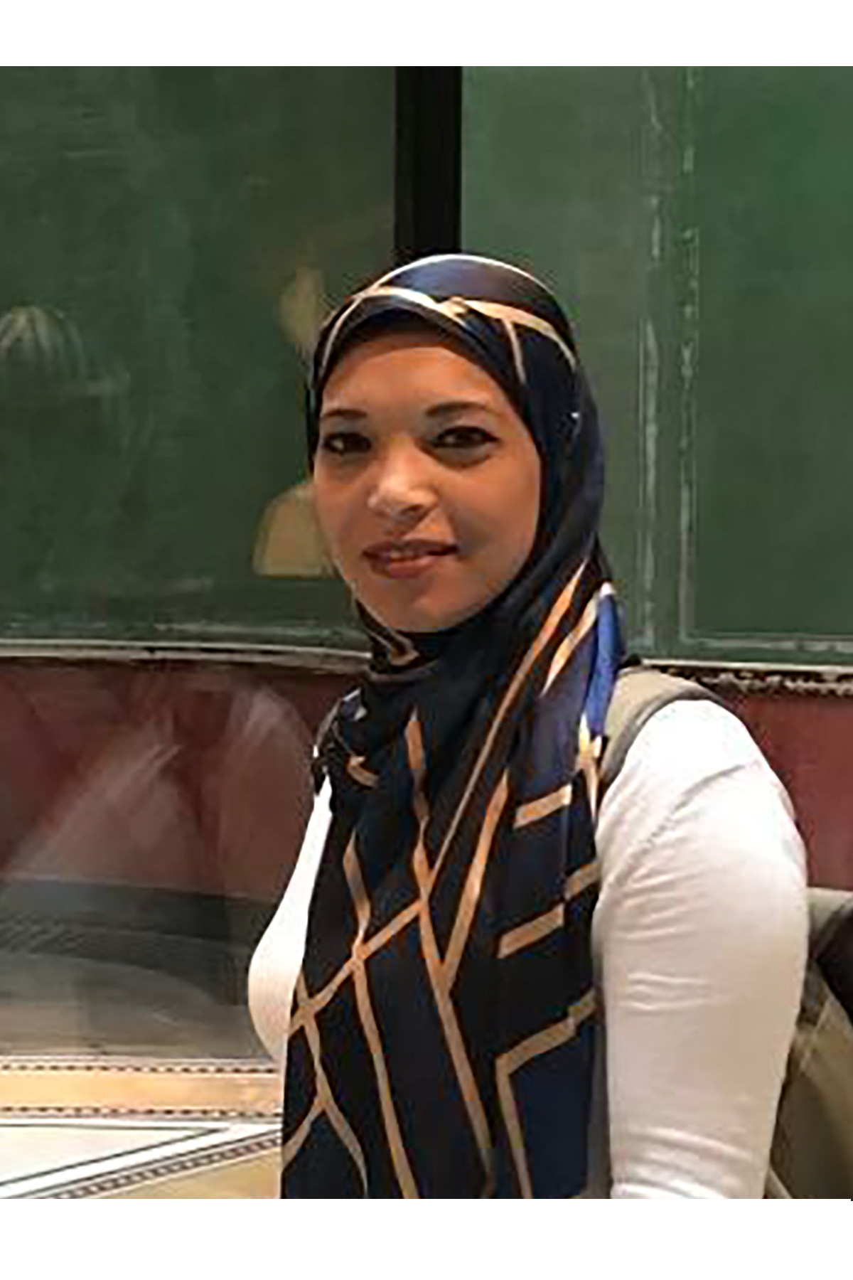 ICOM EGYPT Board (2021 - 2024) - ICOM EGYPT - ICOM EGYPT